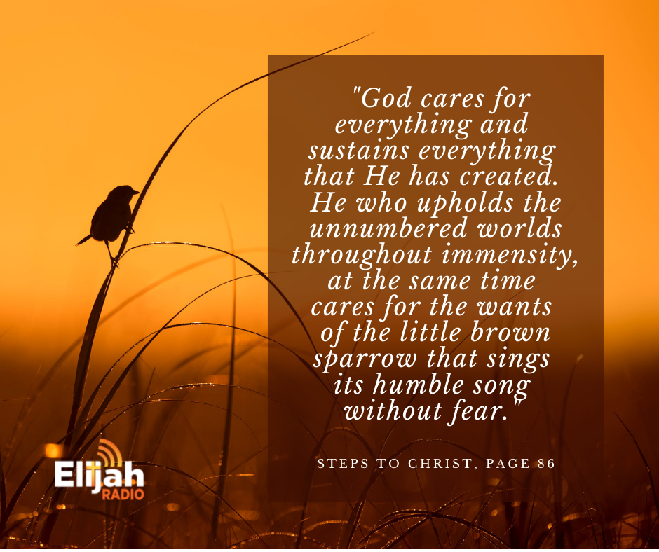 Elijah Radio Quote for the Day - Elijah Radio